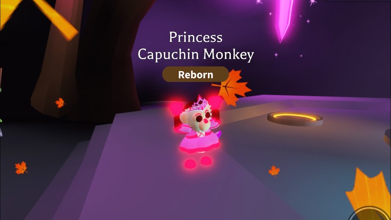 Neon princess capuchin monkey 🐵 #roblox - YouTube