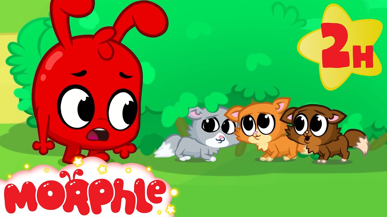 Morphle's PETS! - My Magic Pet Morphle | Magic Universe - Kids Cartoons ...
