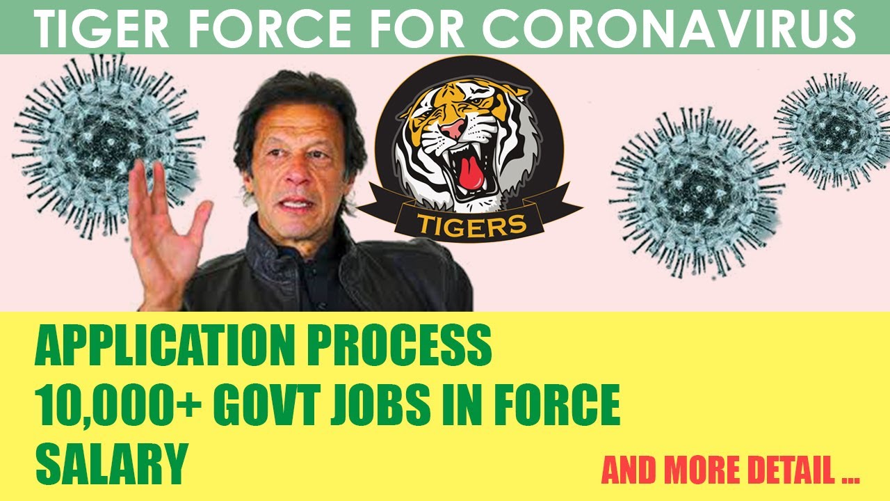 How to Apply Tiger Force|Registration Process|Tiger Force Salary ...