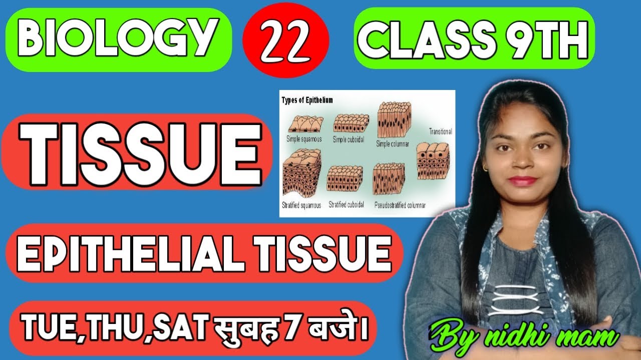 Epithelial Tissue || Tissue class 9th || biology by nidhi mam || class ...