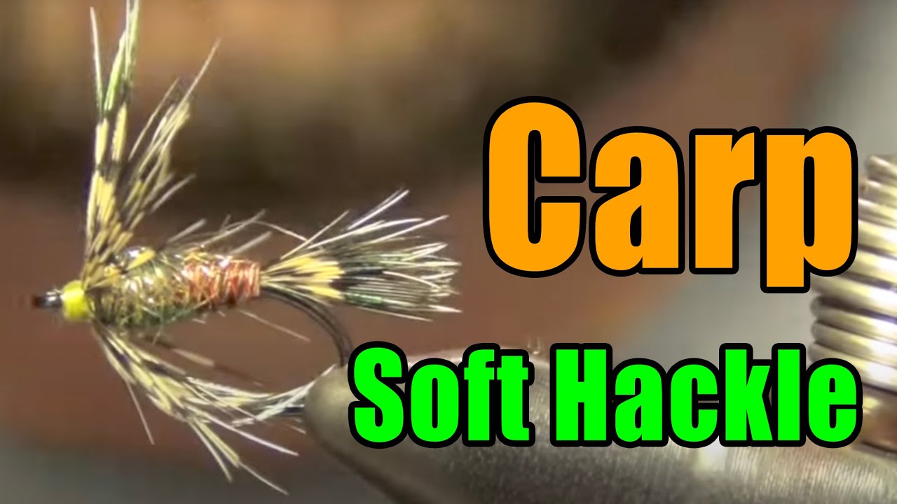 Carp Soft Hackle Fly Tying Instructions - James Spicer Fly Pattern ...