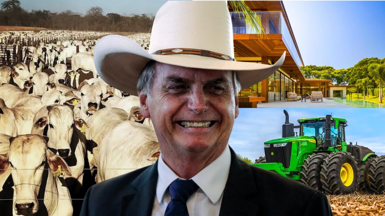 A Fazenda Que o Presidente BOLSONARO Criava Milhões de Gado NELORE ...