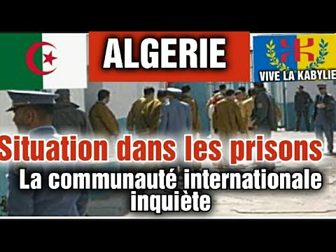 Algerie La situation dans les prisons interroge la Communauté ...