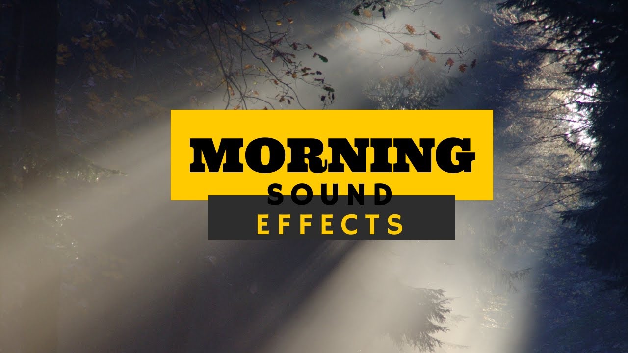 Morning Sound Effects 2021 | Morning Sound Sri Lanka | Morning Sound In ...
