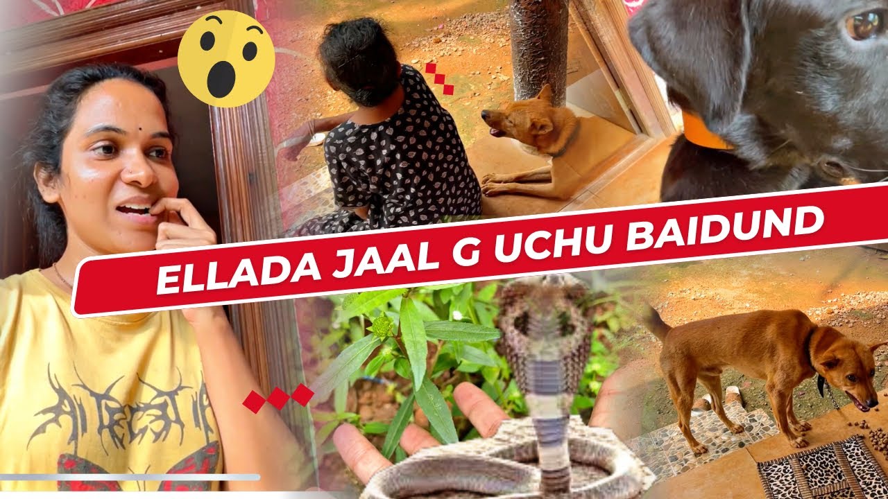 Ellag uchu baidund 👀 DV 323 - YouTube