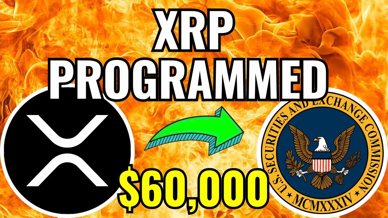 CEO of XRP: XRP CASE'S FINAL RESPONSE!!! XRP PROGRAMMED AT $60,000 ...