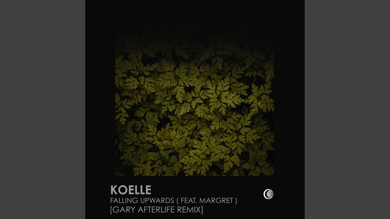 Falling Upwards (feat. Margret) (Gary Afterlife Remix) (Gary Afterlife ...