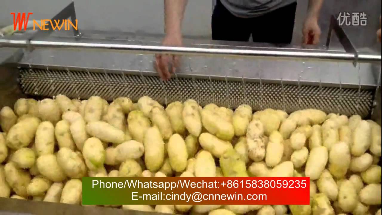Brush Potato washing and peeling machine - YouTube