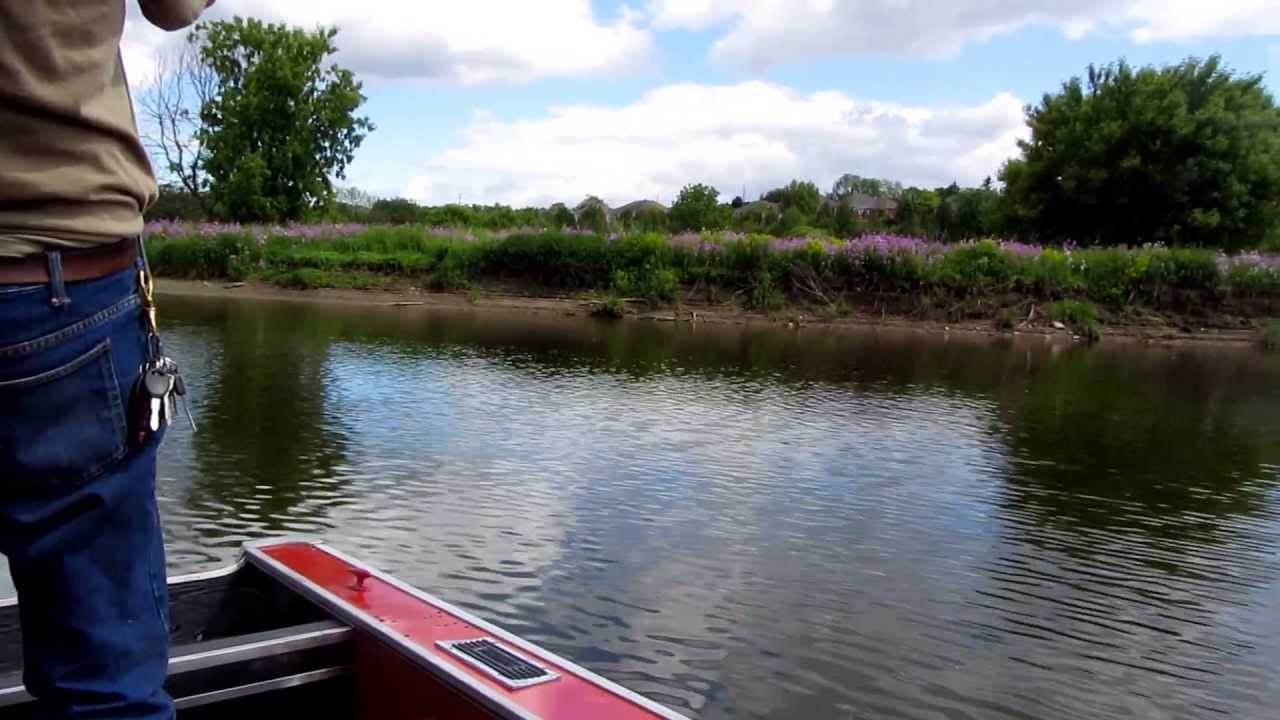 JUNE 8th, local river fishing Cambridge Ontario Canada - YouTube
