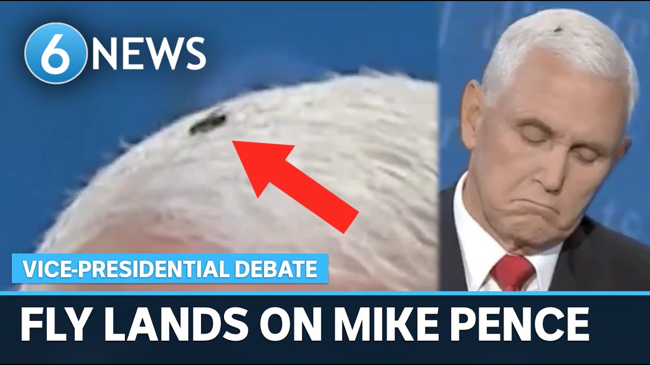 Fly sits on Mike Pence's head during Vice-Presidential Debate - YouTube