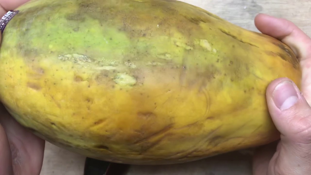 Bone Tactical Bone Breaker Keychain Test and Review (Discount Code ...