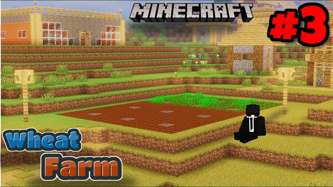 I made wheet farm in my minecraft / servival seires episode #3 - YouTube