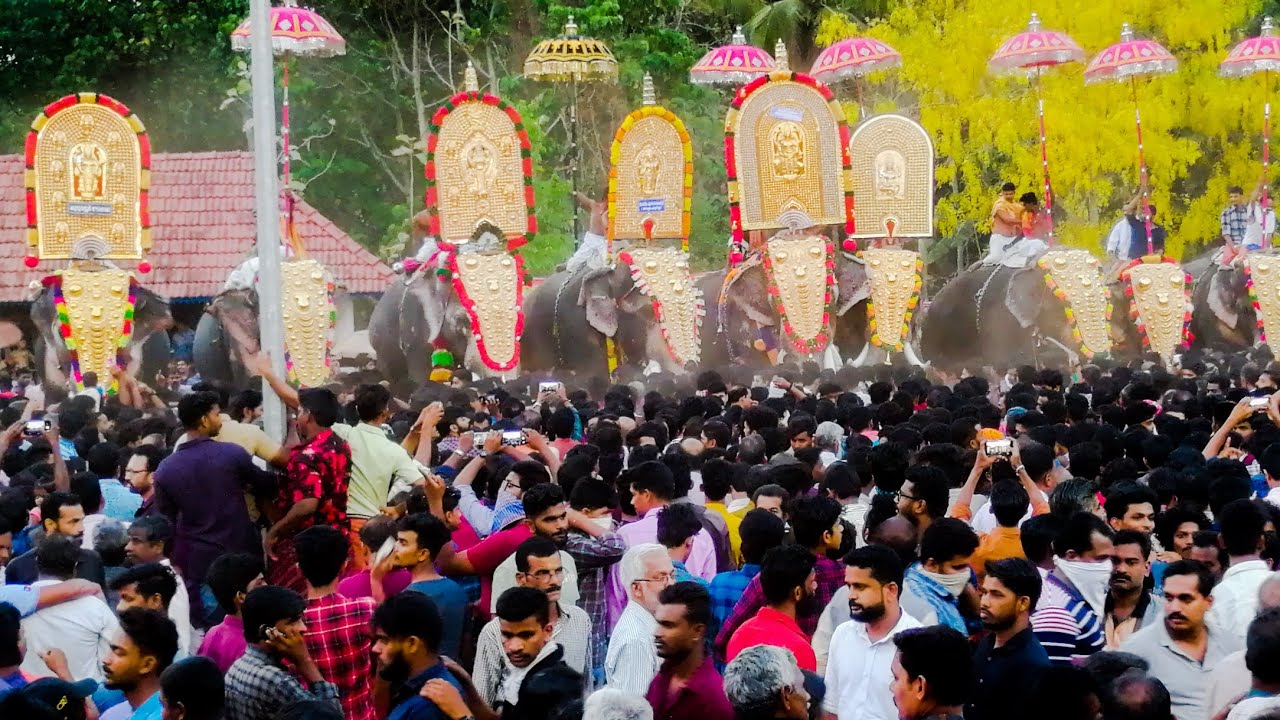 തിരുവമ്പാടി ചന്ദ്രശേഖരൻ പൊളിയാണ് കേട്ടോ /mangode pooram - YouTube