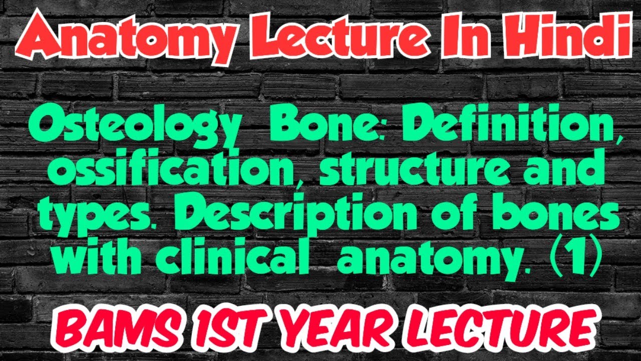 Osteology Bone: Definition, ossification, structure and types with ...