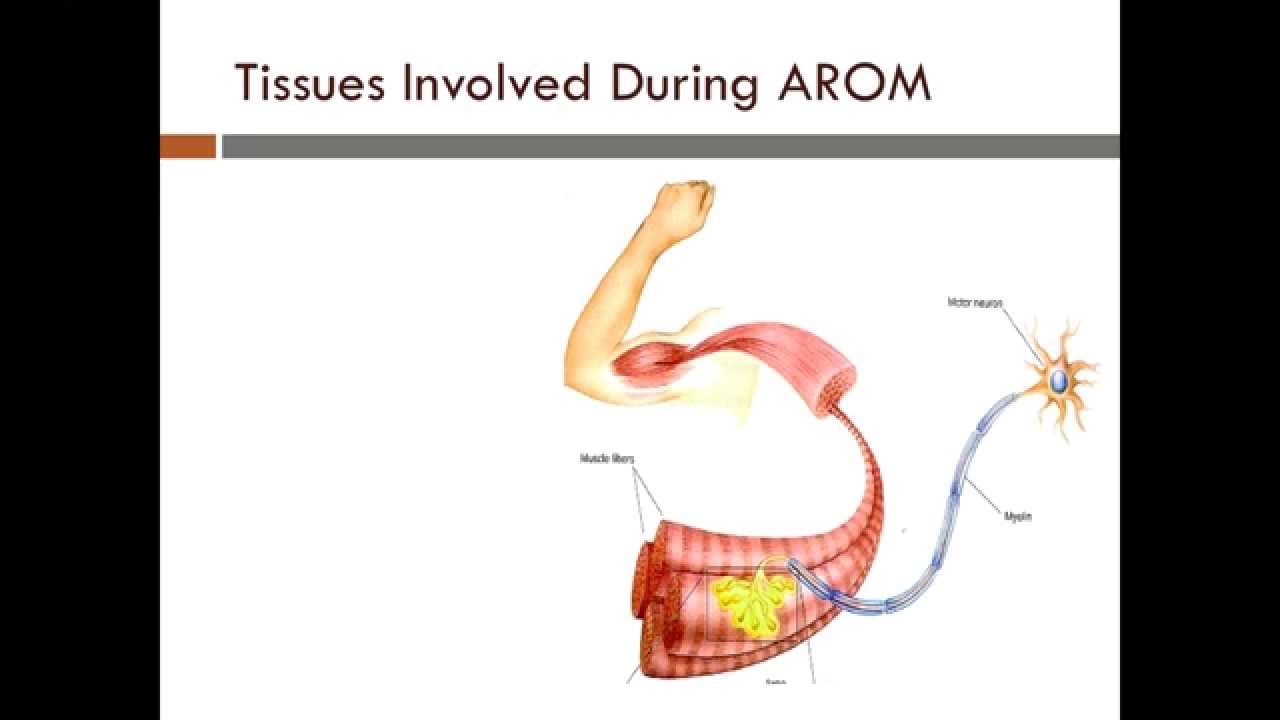 AROM - YouTube