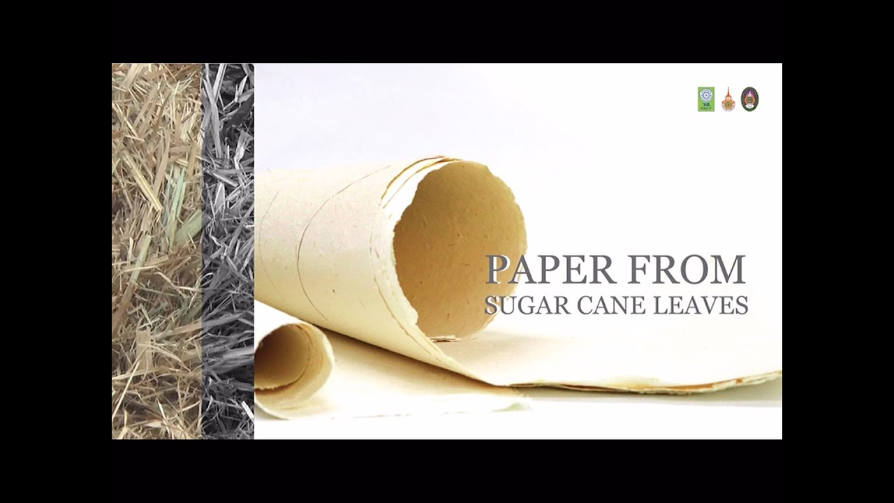 Paper from sugarcane leaves - YouTube