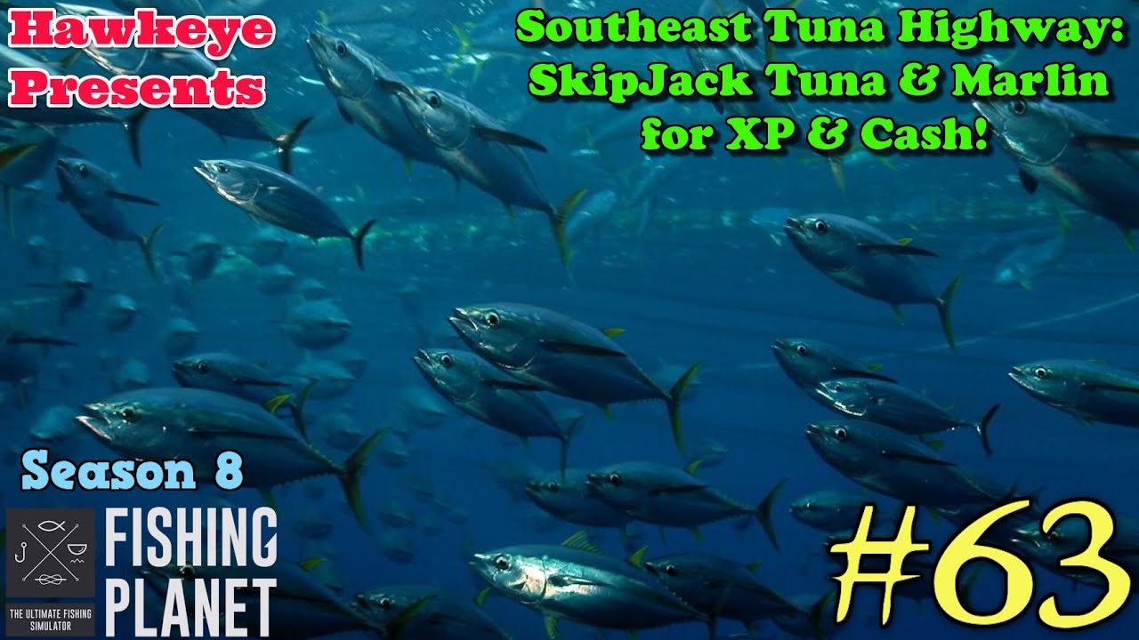 Fishing Planet #63 - Southeast Tuna Highway: Skipjack Tuna & Marlin for ...