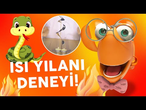 ISIYLA HAREKET EDEN YILAN! | Profesör Balık ile Deneyler
