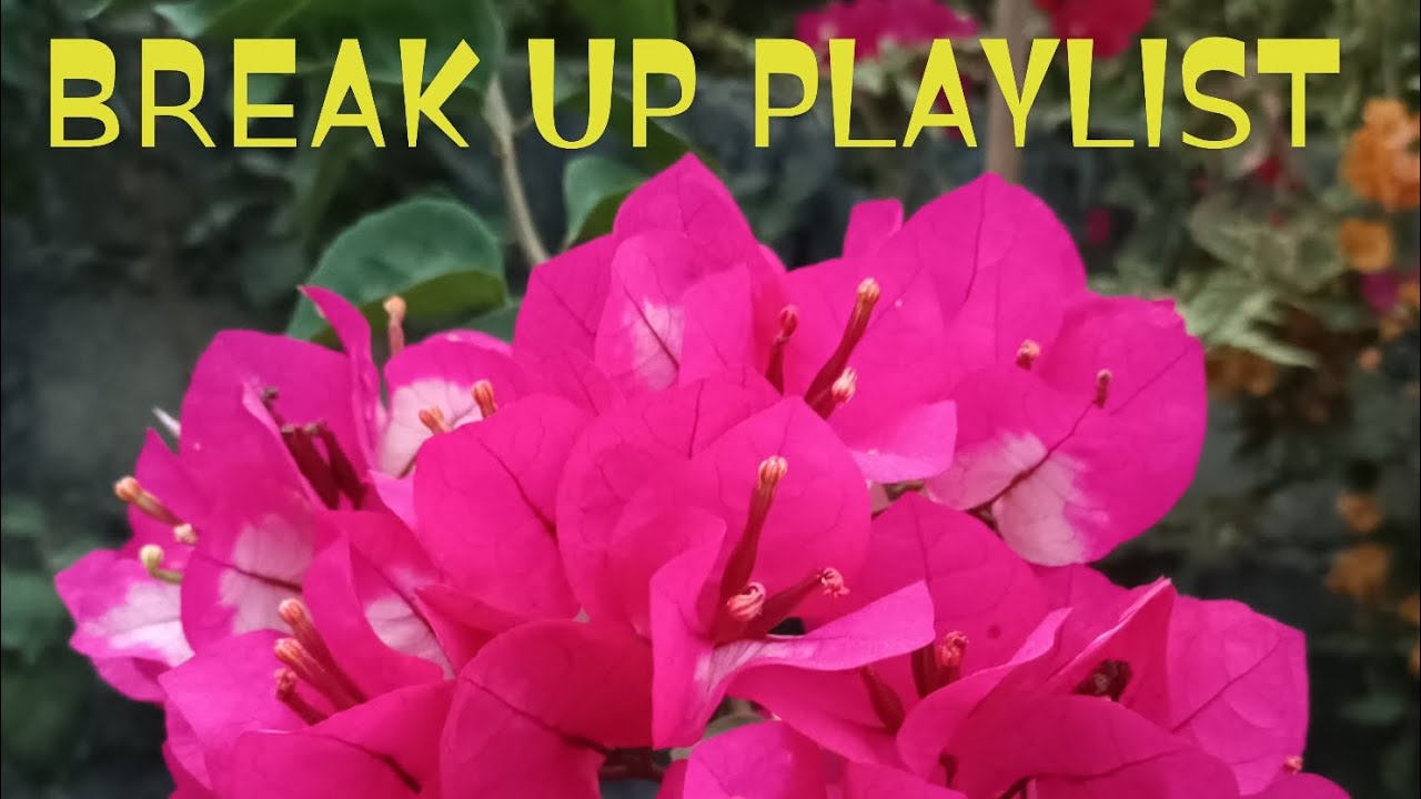 Break Up Playlist - YouTube