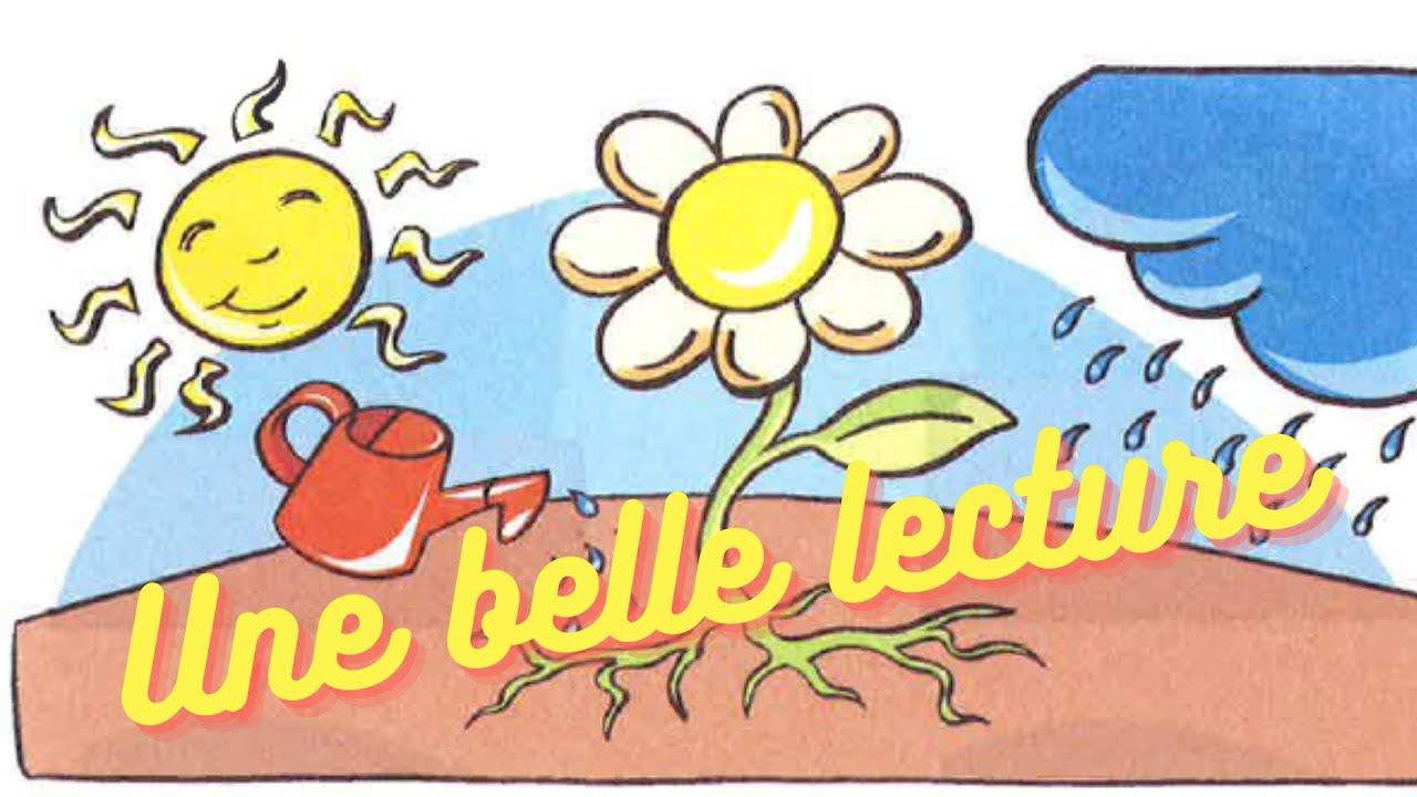Cycle De Vie Simple Des Plantes Pour Les Enfants Semis, Plantations Et