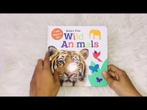 Baby's First Wild Animals - YouTube