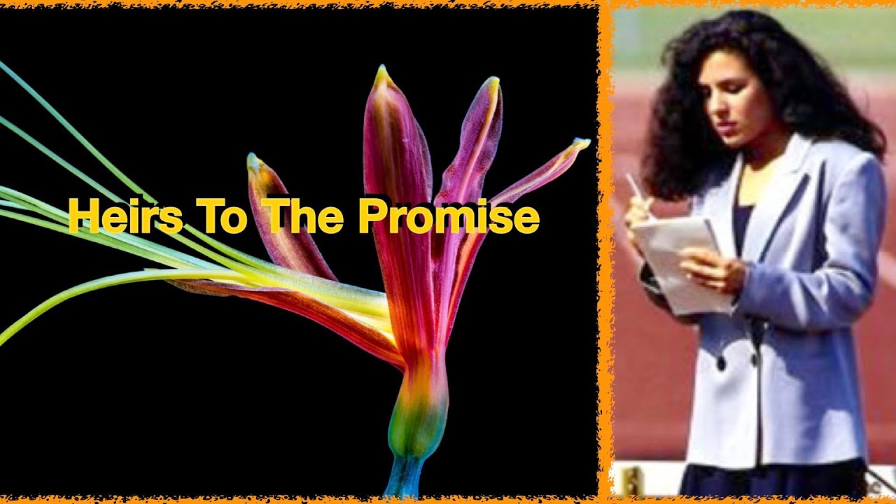 Heirs To The Promise, COGIC Sunday School Lesson, 02/20/22, Galatians 3 ...
