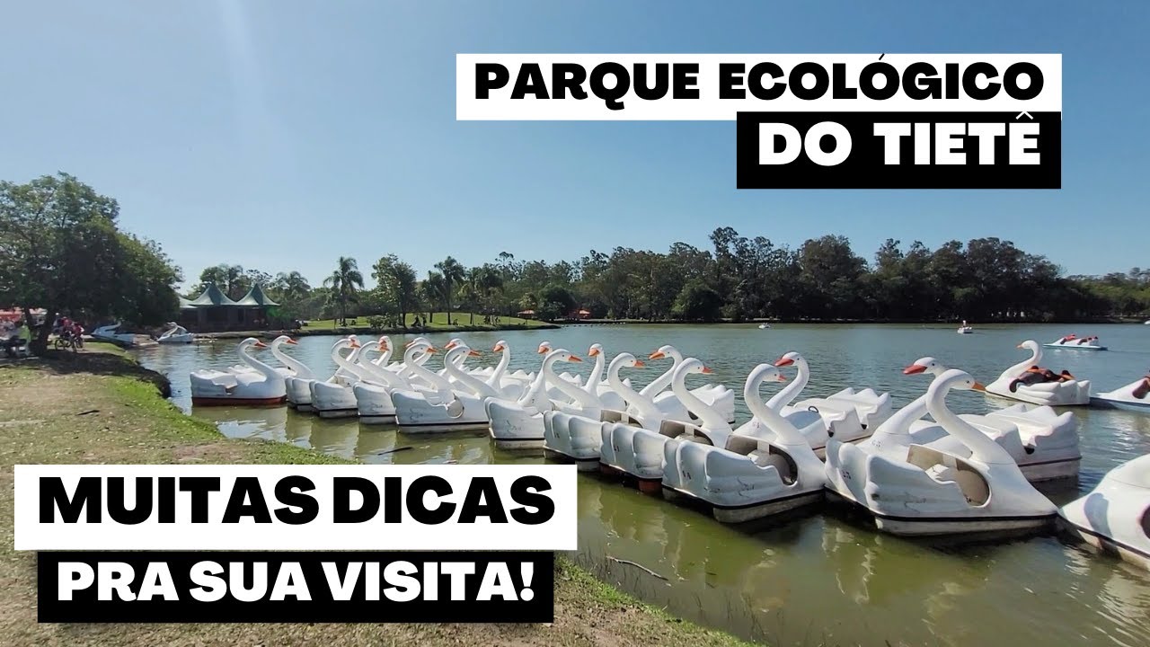 Parque Ecológico do Tietê - Uma ótima dica de passeio GRATUITO para a ...