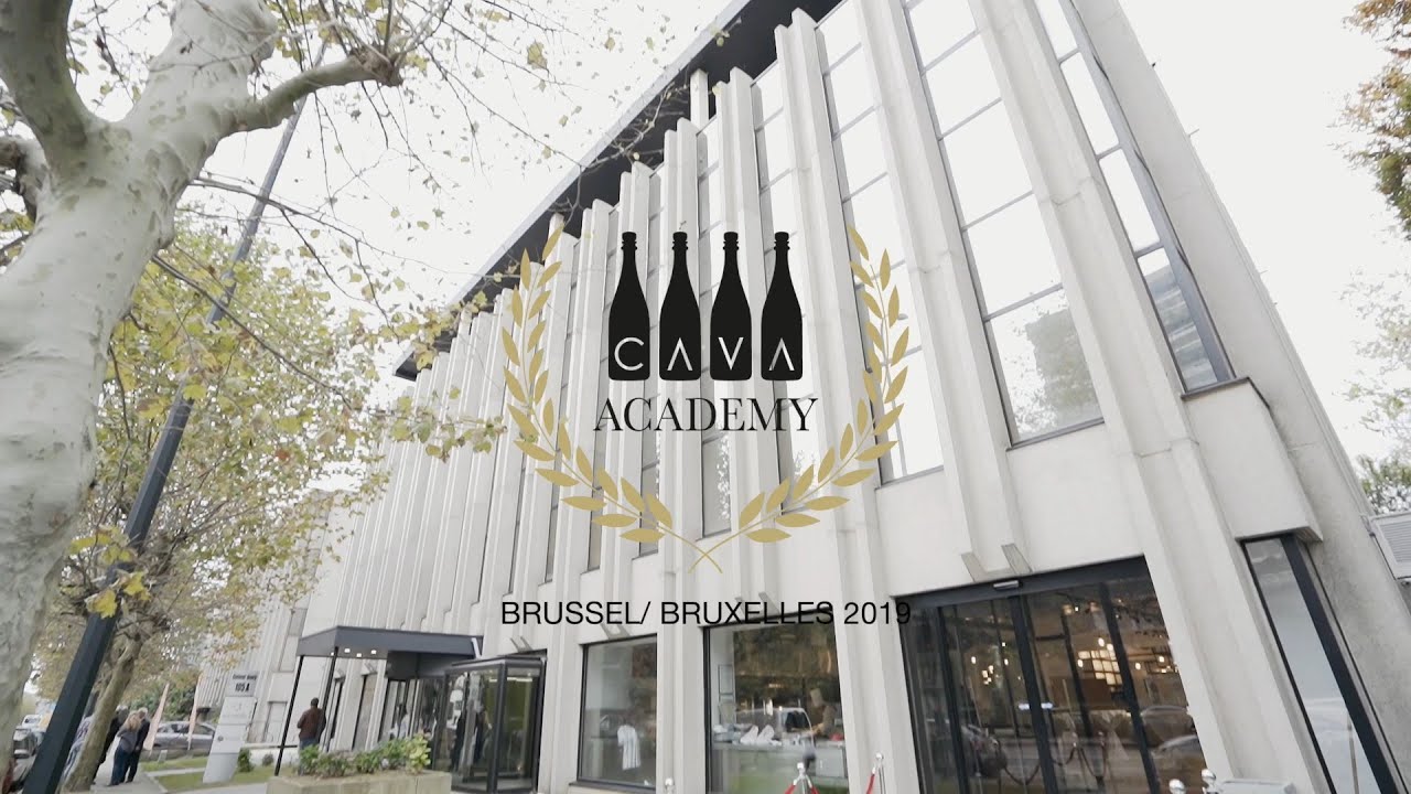 Cava Academy Bélgica - YouTube