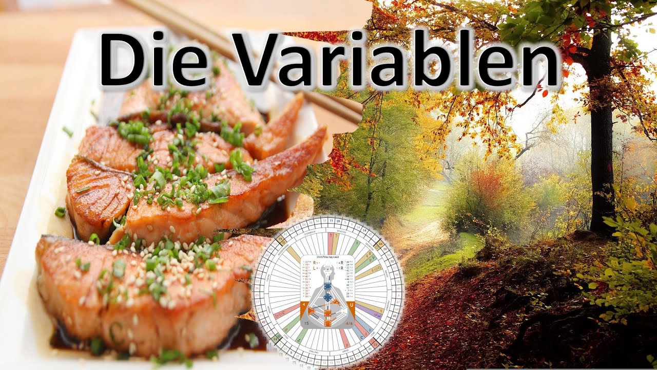 Human Design - die Variablen - Begriffe be.greifen - die Basics der Basics - YouTube
