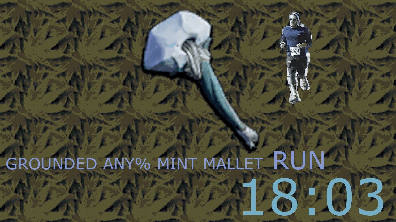 Grounded Any% Speedrun (18:03 - Mint Mallet run) OLD PATCH - YouTube