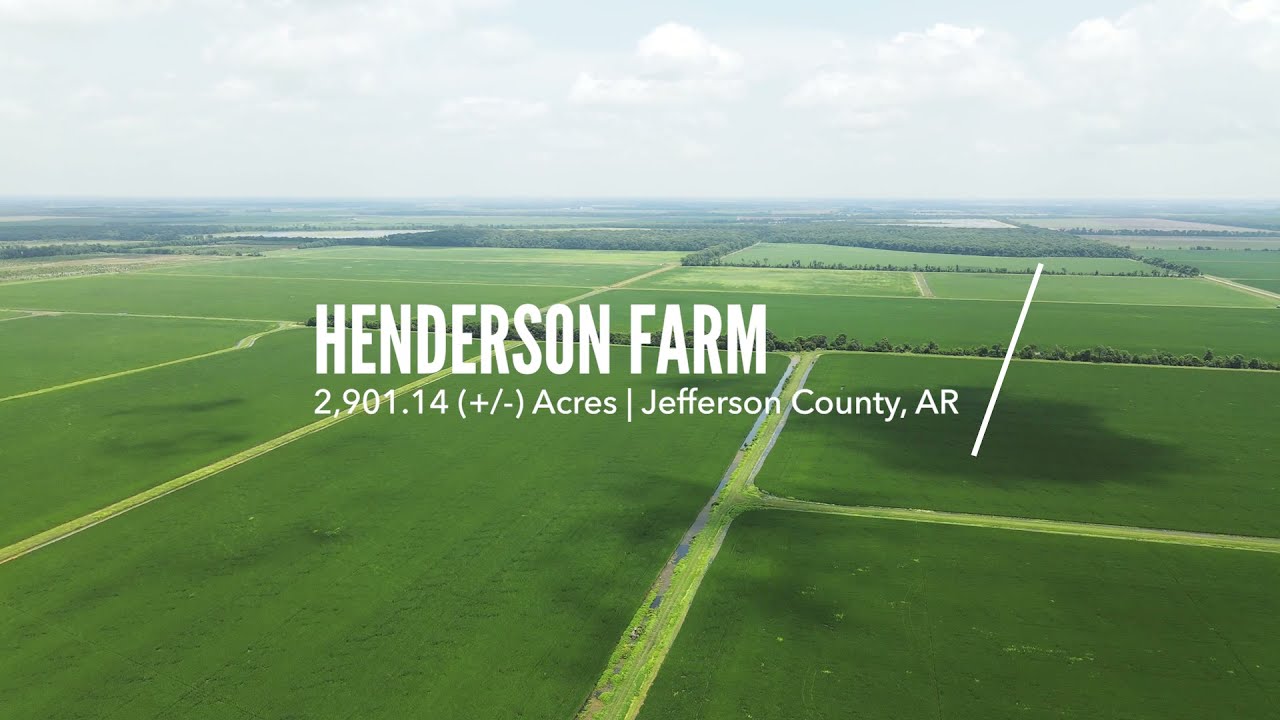 Henderson Farm - YouTube