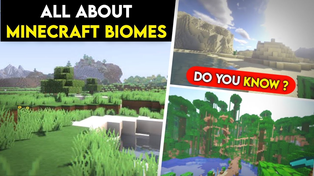 All About Minecraft Biomes Name And Other Things | Hindi | 2021 - YouTube