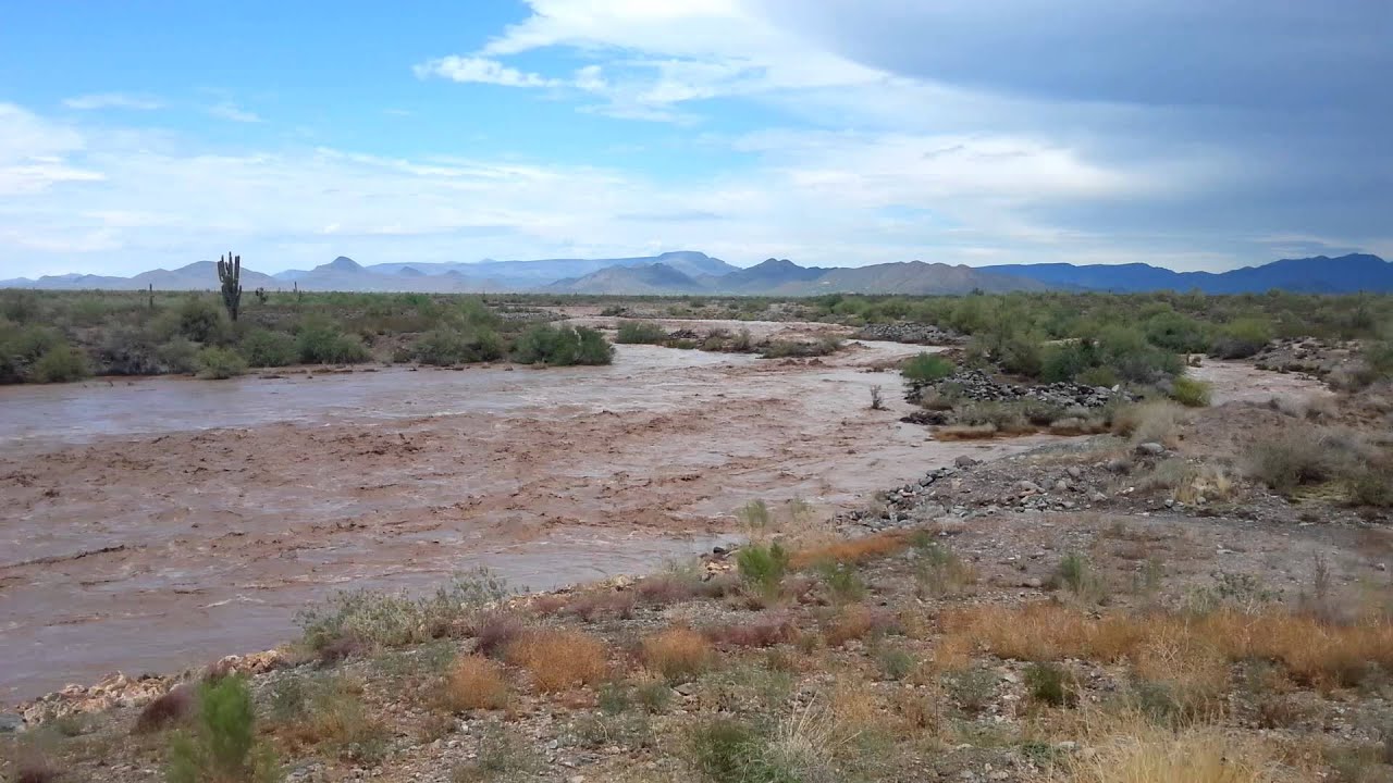 2014 AZ Monsoon Aftermath - YouTube