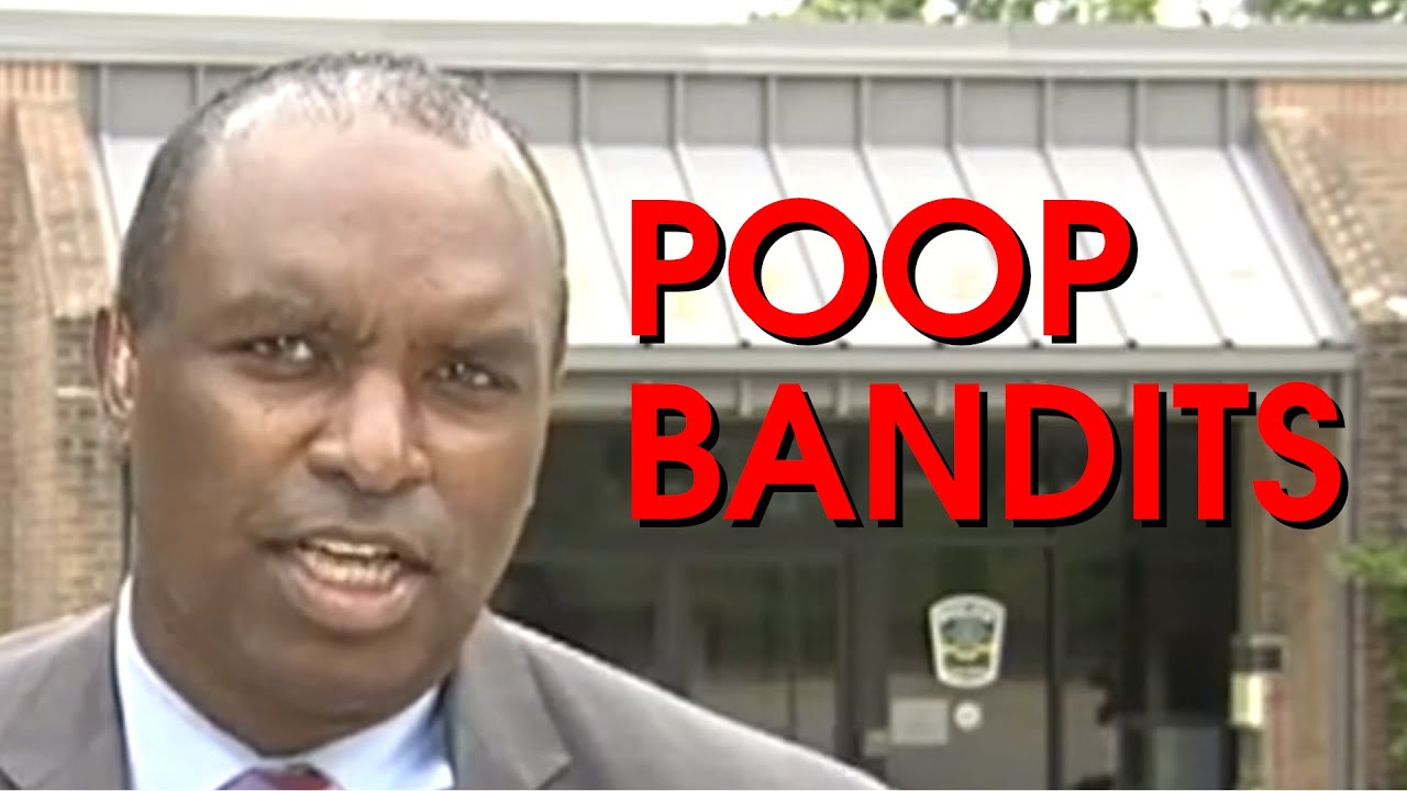 69 News: The Poop Bandits - YouTube