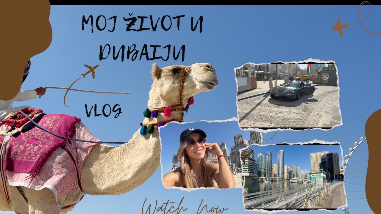 Moj Zivot u Dubaiju VLOG, turista na dan, plaza, kamile - YouTube