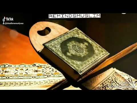 Labbaik ya rasulallah New whatsapp status