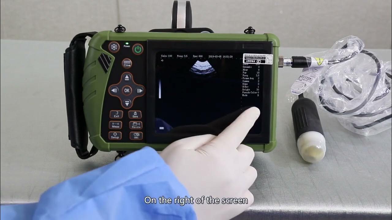 Dawei S0 Veterinary Ultrasound Diagnostic Machine - YouTube