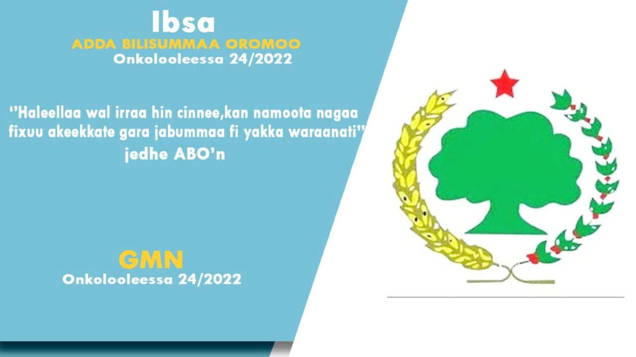 GMN: Ibsa Adda Bilisummaa Oromoo Onkoloolessa 24/2022 - YouTube