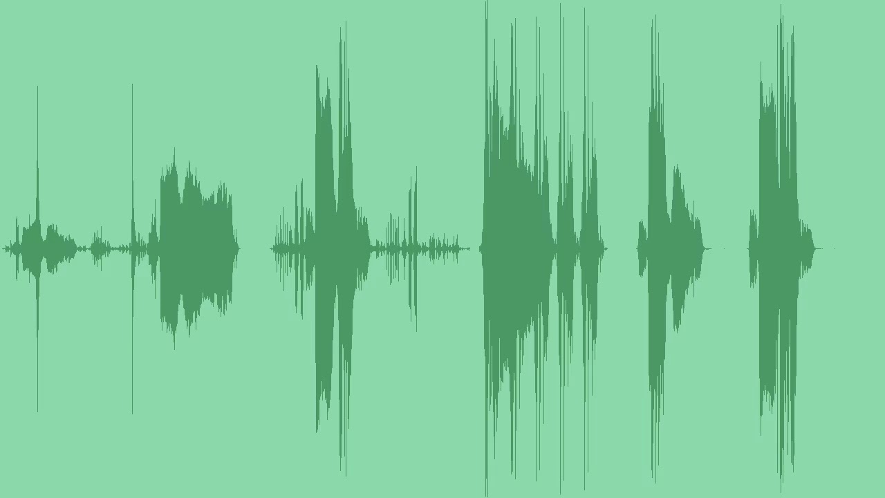 Picture Camera Sounds 1 Sound Effects - YouTube