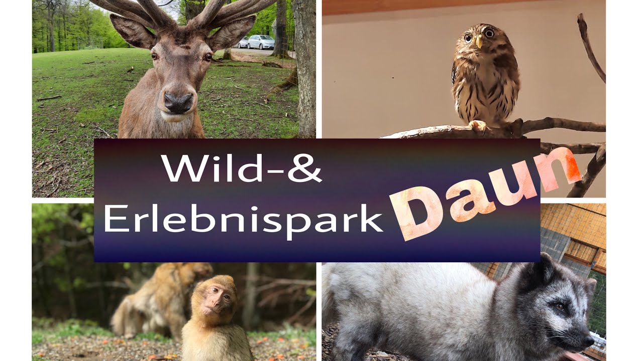 Tickets Fr Wild Erlebnispark Daun