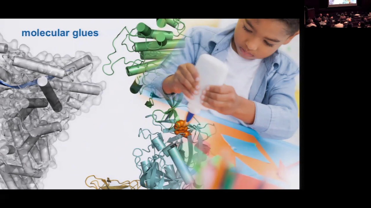 James Bradner, MD President, Novartis Institutes for BioMedical ...