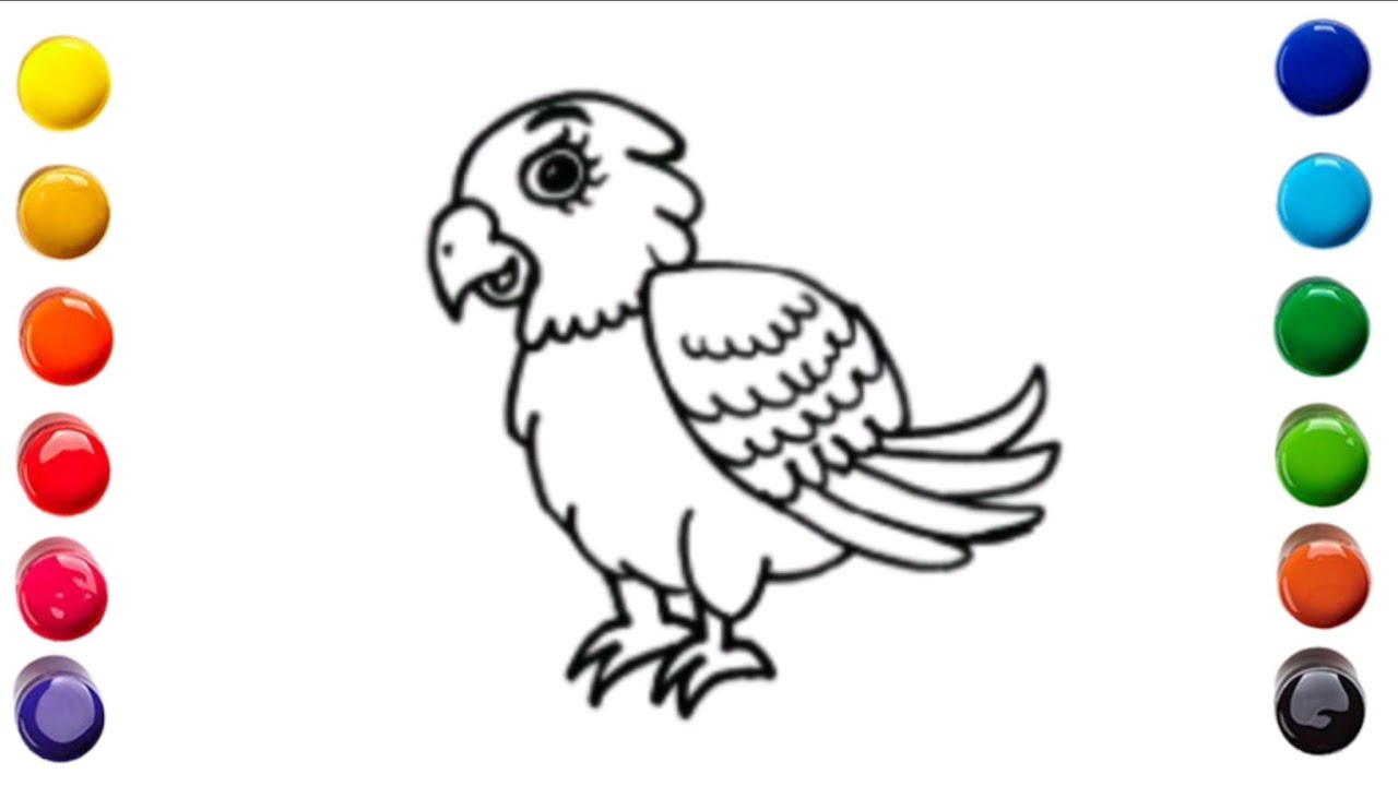 How to draw PARROT | Easy for Kid's | Easy Drawing and Colouring ...