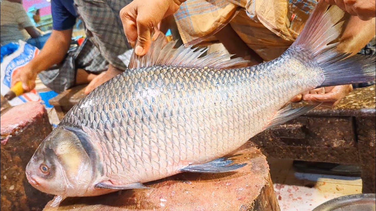 Amazing Cutting Skills | Giant Catla Carp Fish Cutting Live in khalek ...