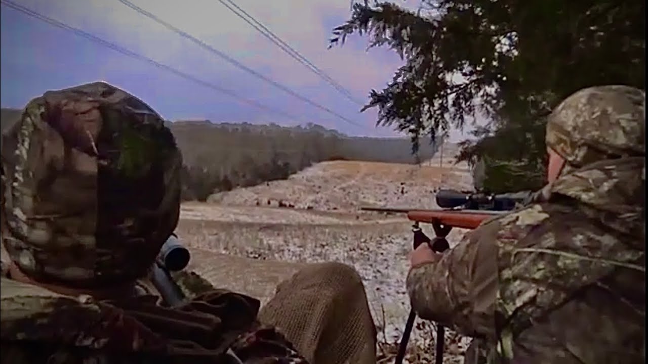 Coyote Hunting over Power-lines in February - YouTube
