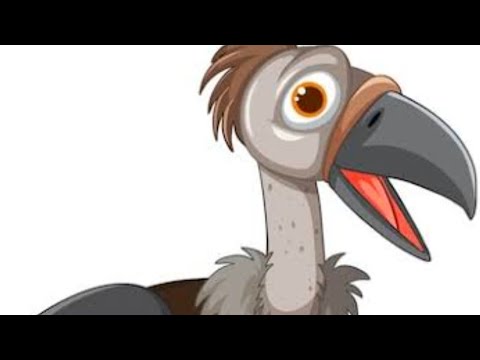 Do you want to fly like a vulture? Streams Of Life: Day 208| jomy ...