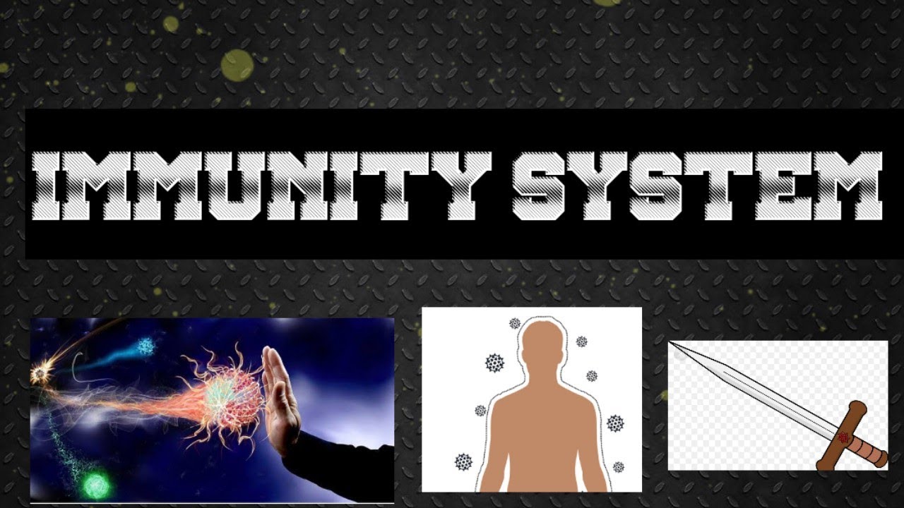 Immunity System || Images || Made Easy - YouTube