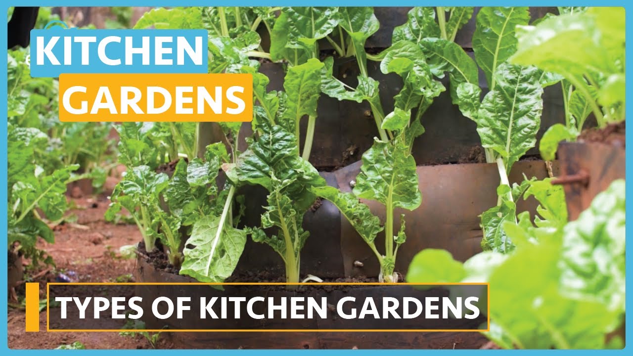 Advanced Urban Gardens (Lesson 4) - Types of Kitchen Gardens - YouTube