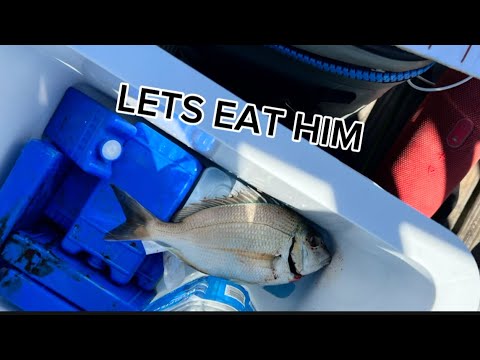 Long Island Porgy Catch & Cook (The Most Underrated Fish!) - YouTube