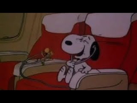Snoopy’s and Woodstock’s 😃 after watching DJ 3 getting launched and ...