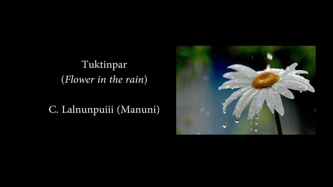 Tuktinpar - Manuni (Flower in the rain) Chords - Chordify